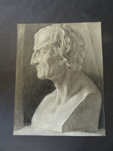FRENCH SCHOOL 19thC - STUDY CLASSICAL BUST - FINE CHARCOAL DRAWING | eBay