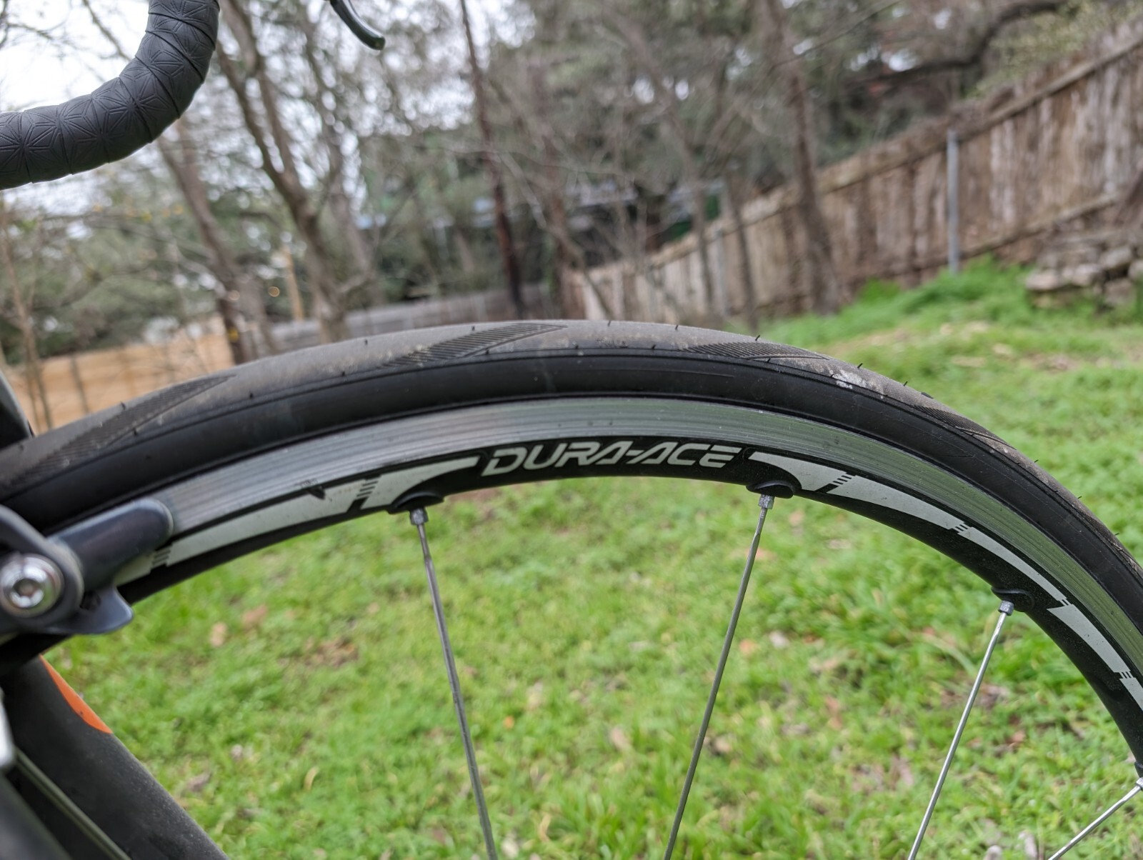 Rare! Alchemy carbon travel bike with S&S couplers. | eBay