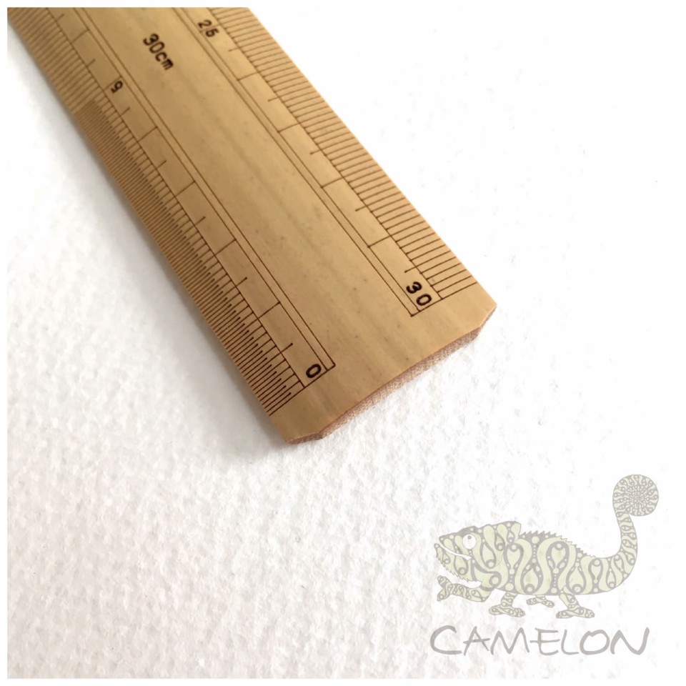 MADE IN JAPAN Japanese Bamboo Rule Small Ruler Scale 30cm 300mm | eBay