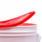 Navien Tankless Water Heater Flushing Descaling Kit Solution Pump Hose ...