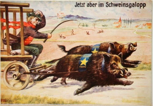 36854 REKLAME Thomas Mehl Dünger AK Wildscheine im Schweinsgalopp ...