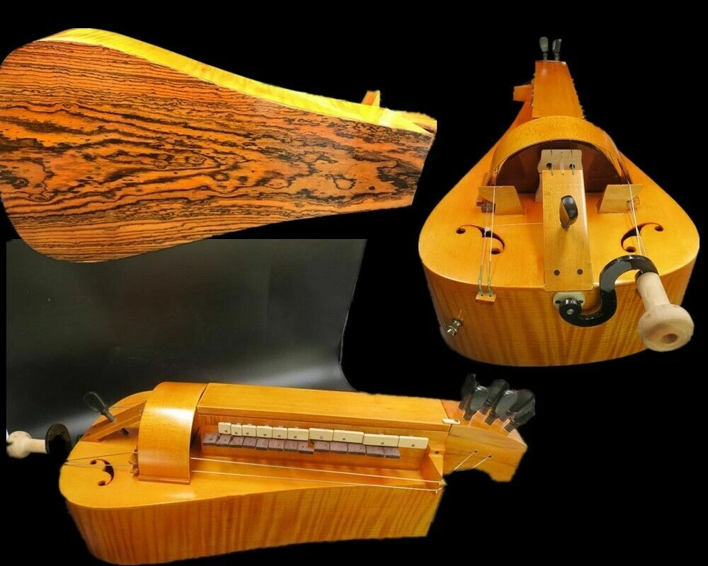 Hurdy Gurdy