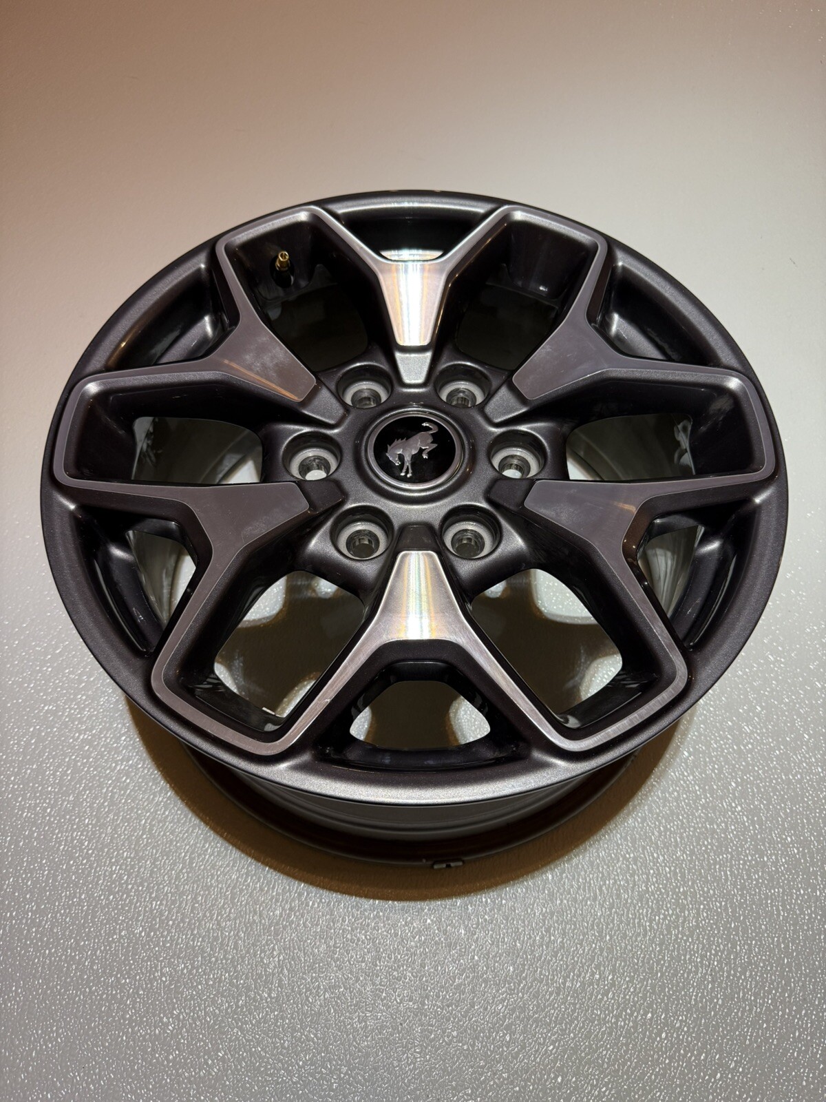 Set of 5 17” 2021-24 Ford OEM Bronco Wheels | eBay