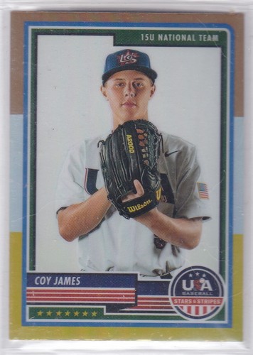 2023 USA Stars & Stripe Baseball 15U National Team Bronze Silver Gold ...