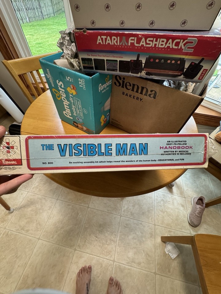 Renwal The Visible Man Educational model kit vintage Human model 800 ...