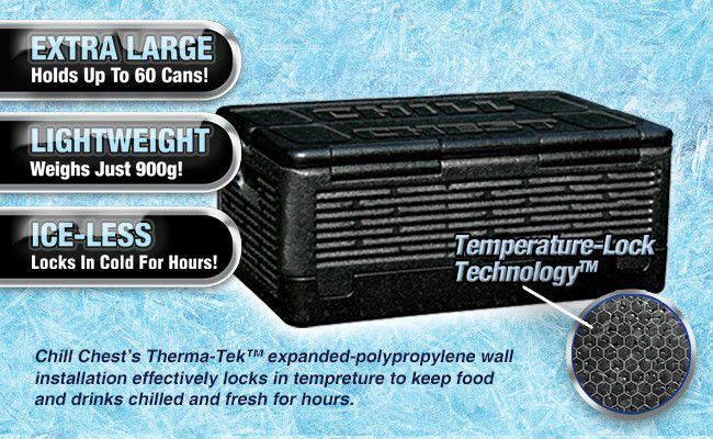 AU The Insulated Collapsible Folding Cooler Esky CHILL Chest COLD HOT ...