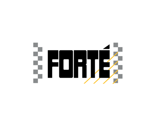 Forte Oil Fortifier 400ml High-Mileage Engine Treatment Reduces Oil ...