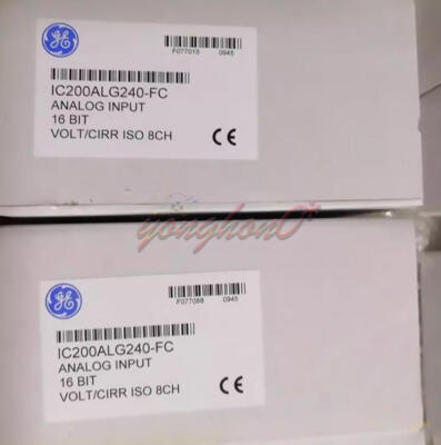 ONE NEW GE Fanuc IC200ALG240-FC PLC Module | eBay