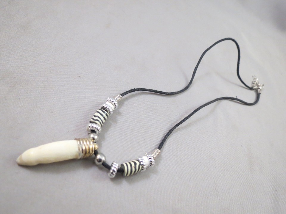 REAL Genuine ALLIGATOR TOOTH NECKLACE Florida Gator American Silver Cap ...