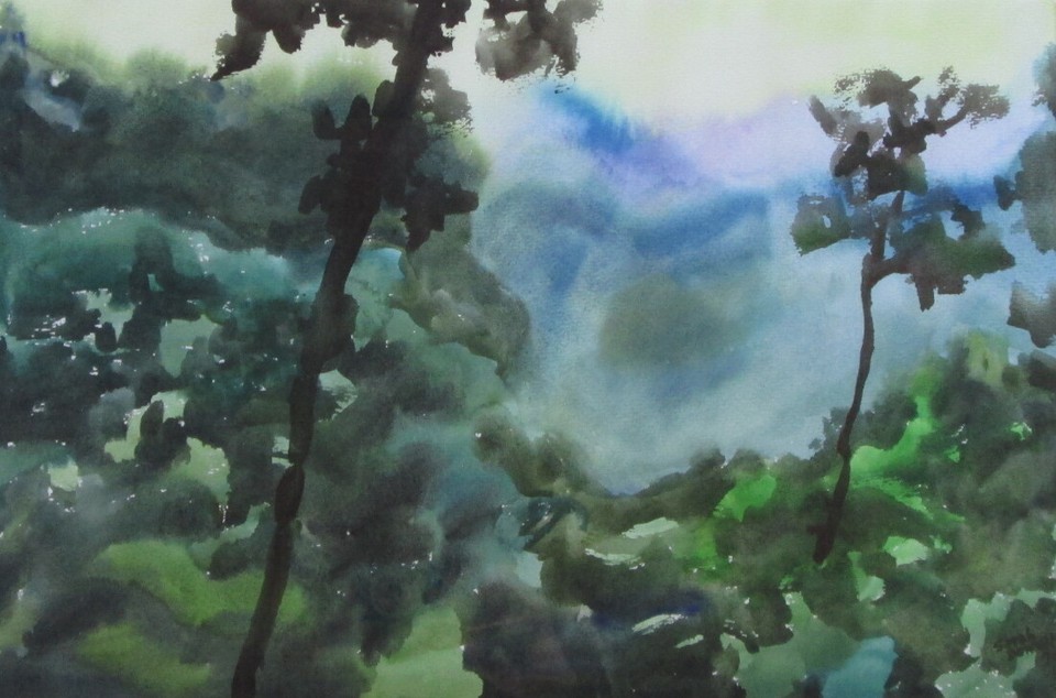 RENOWNED JUNGLE ARTIST SARAH DOWELL WATERCOLOR PAINTING, MONTEVERDE ...