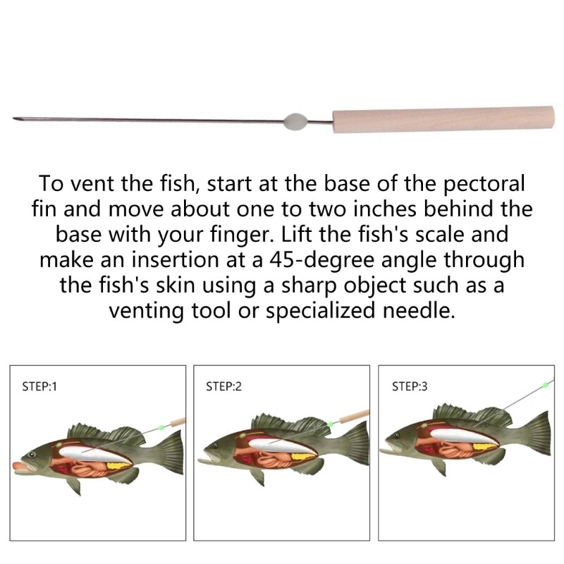 Safe Fish Venting Tool Perfect for Culinary Expert and Seafood Store ...