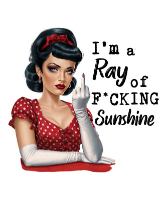 XXL 18X18 Car Sticker Funny Pin Up Girl Decal Weatherproof Vinyl ...