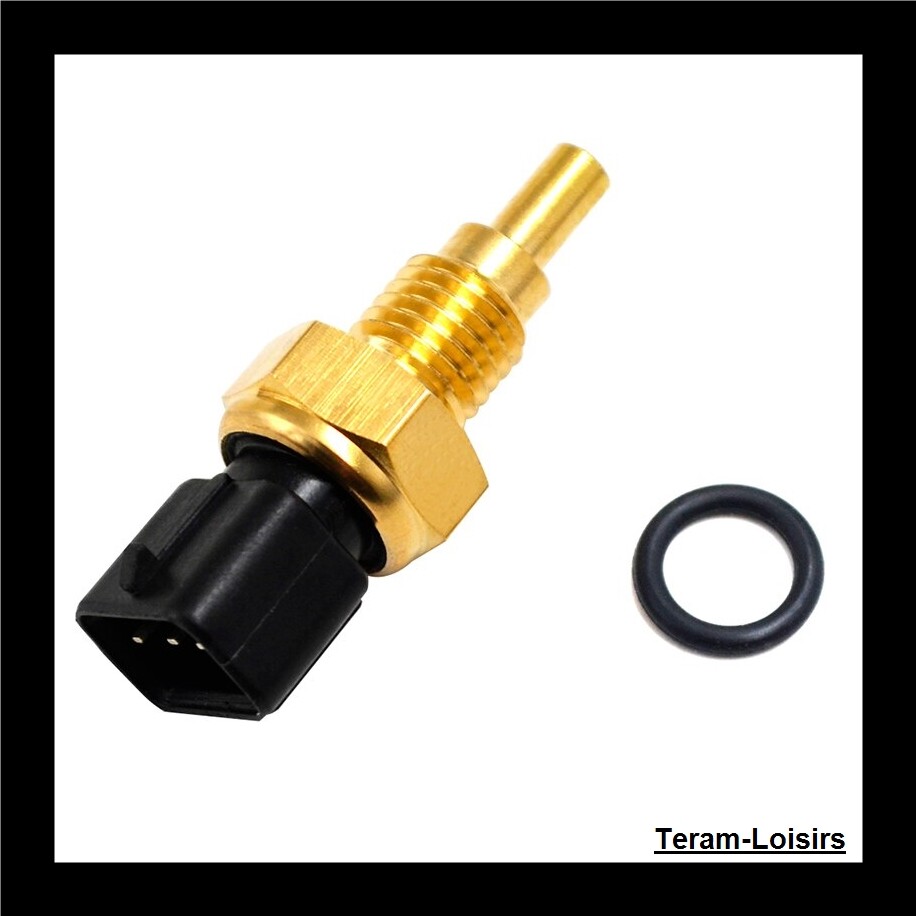 Probe Temperature Thermostat Radiator Piaggio GPR150-6 New | eBay