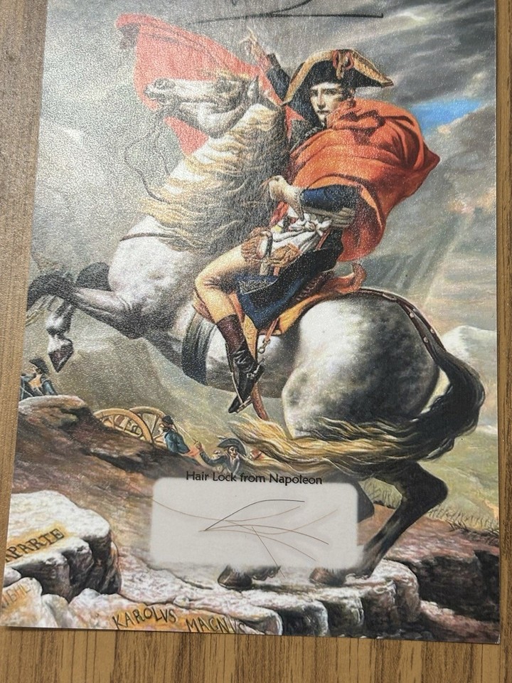 Napoleon Bonaparte Hair Strands Lock Piece Speck Relic Display Historic ...