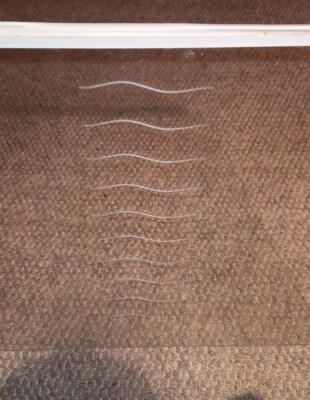 GE Kenmore Glass Refrigerator Shelf Replacement Part Clear White Waves ...