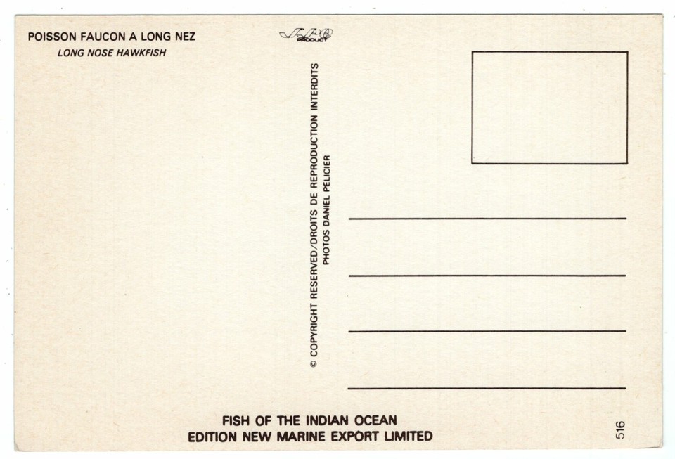 AK Longnose Hawkfish (Langschnauzen-Korallenwächter) Fisch a. d ...