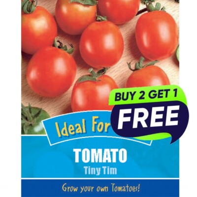 Tomato Tiny Tim - 40 Seeds Vegetable Grow Your Own Garden Salad Herbs ...