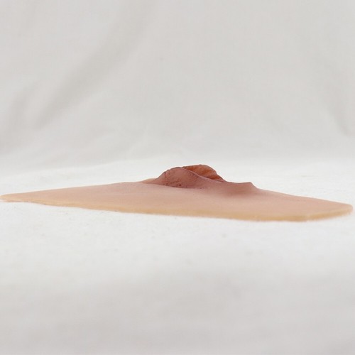 Cosplay Crossdresser Hiding Gaff Panty Insert Pads Silicone Fake Vagina ...