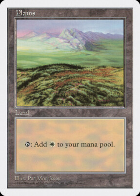 Plains (D Mountains) 5th Edition PLD Basic Land MAGIC GATHERING CARD ...