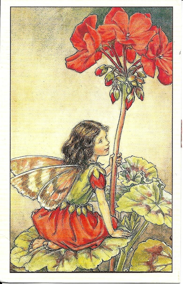 wall size posters The Geranium Fairy flower fairy art poster | eBay