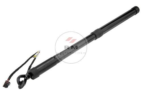 NEW GAS SPRING TAILGATE RANGE ROVER EVOQUE 11- /LEFT,RIGHT/ LR025444 | eBay
