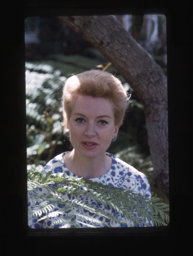 Deborah Kerr Vivid Color 1960's Photo Shoot Original 35mm Transparency ...