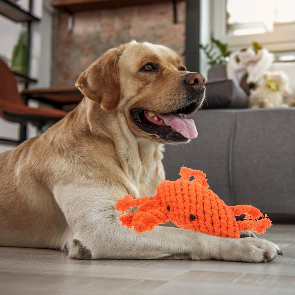 Tooth Cleaning Dog Toy Chew Toys Molar Sticks Puppy Teething Ropes ...