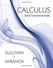 Calculus by Michael Sullivan | eBay