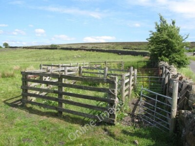 Photo 6x4 Sheep pens Halton Lea Gate c2010 | eBay UK