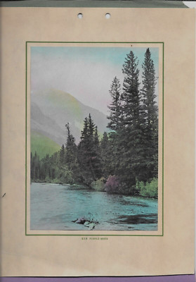 Hand Tinted Print, Water Trees Mt's "Purple Mists "8.25"x11" Cal. Print ...