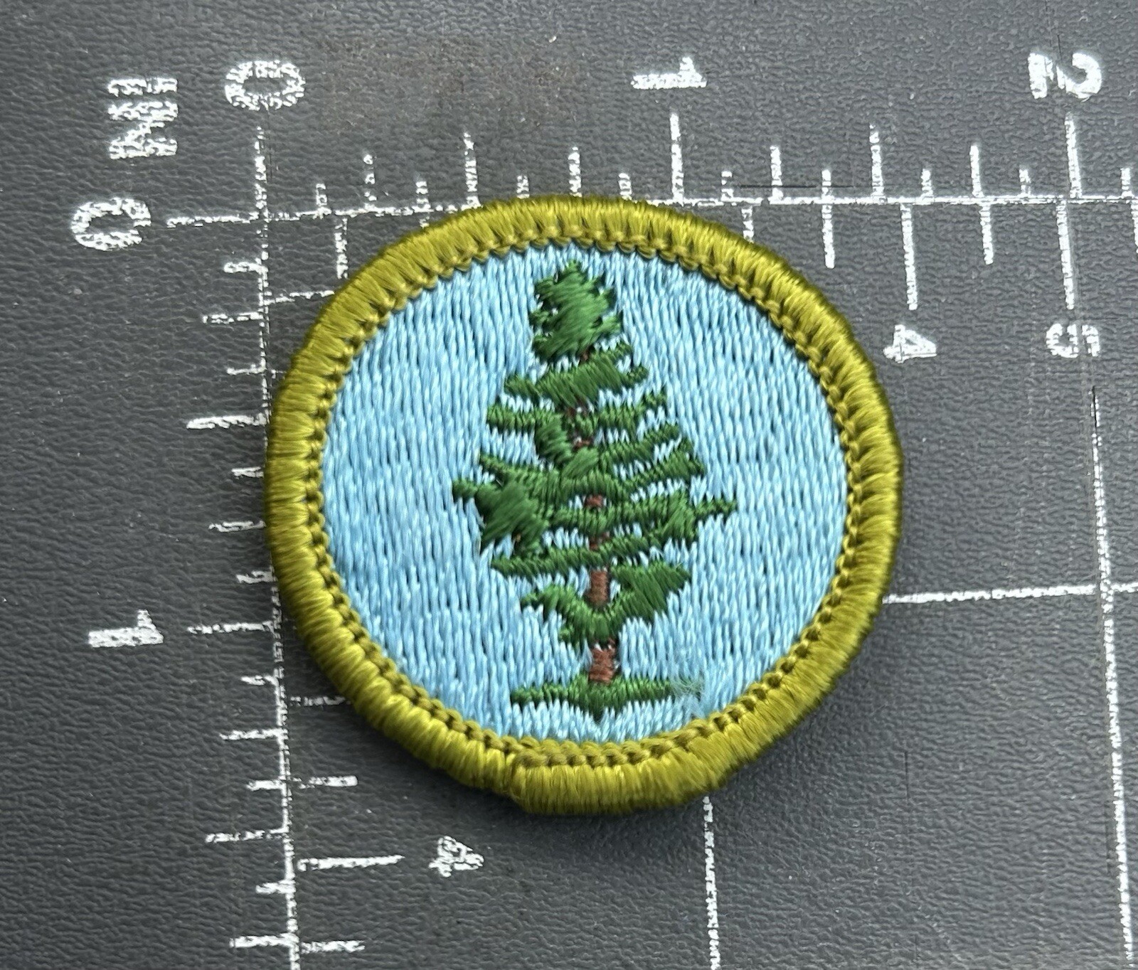Forestry Merit Badge Pine Tree Boy Scouts of America BSA Scouting Award ...