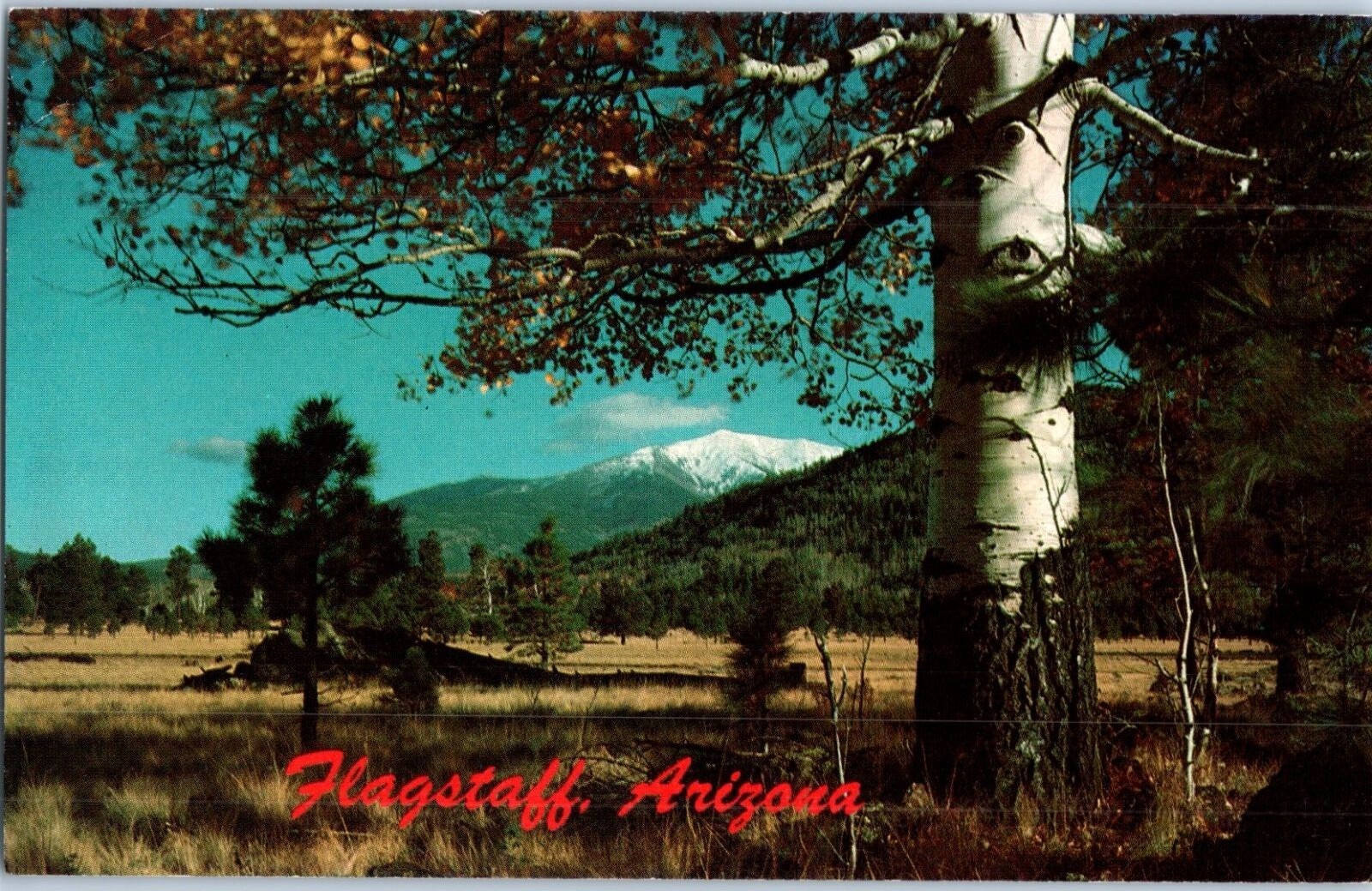 San Francisco Peaks Flagstaff Arizona Postcard | eBay