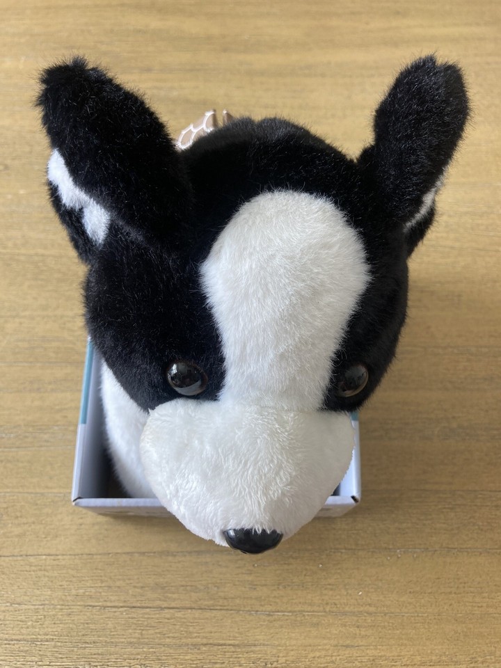 New Cuddle & Calm Weighted Huggable Border Collie Soothing Calming New ...