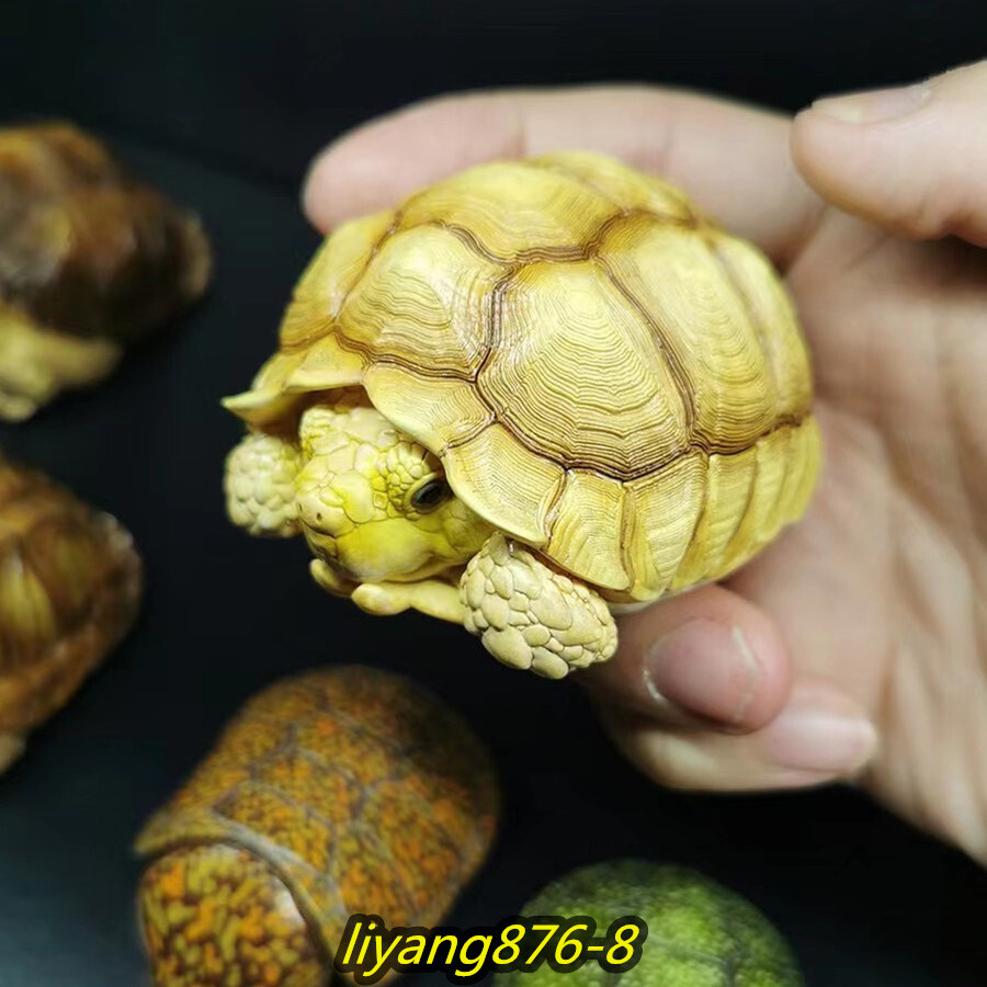 Animal Planet Laugh and Grow Fat Tortoise Blind Box Collector Turtle ...