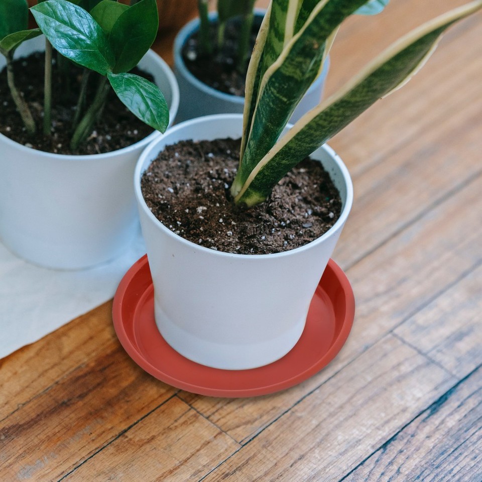 4 PCS Indoor Plant Pots Flower Tray Plastic Plants Succulent Sauser ...