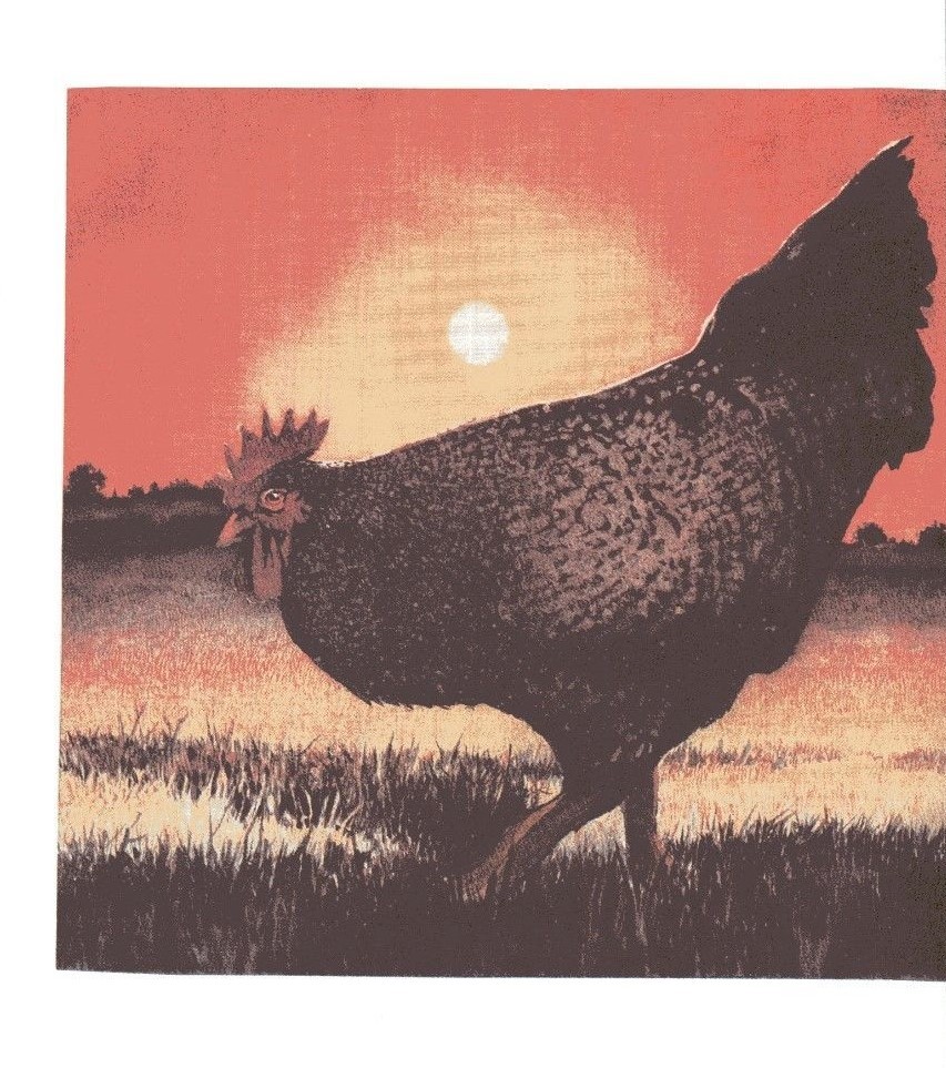 NANCY WILLARD The Ballad of Biddy Early HB/DJ 1989 Barry Moser ...