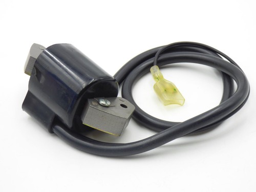 Zündspule CDI passend Robin EC10 EC 10 Motoren Rüttelplatte Ammann ...