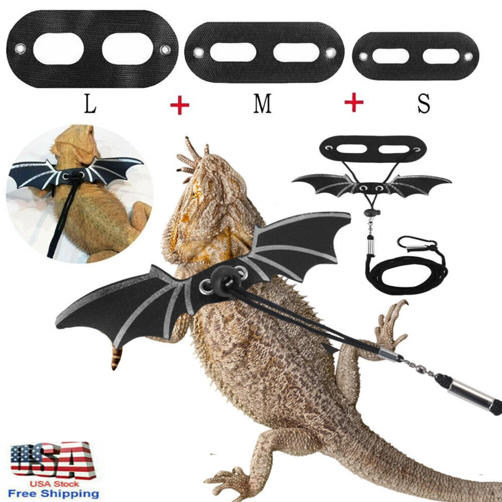 Bearded Dragon With Wings