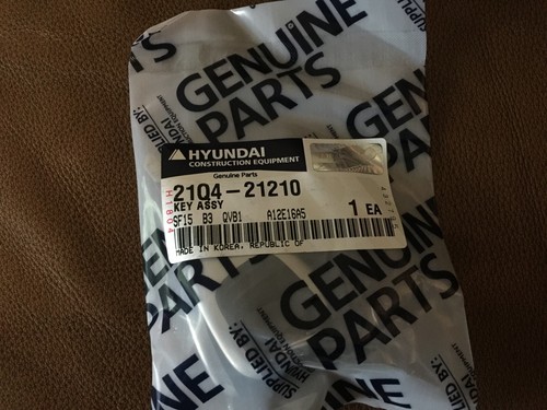 21Q4-21210 Key Assy, Cabin Fits Hyundai (Two Keys Per Order) | eBay