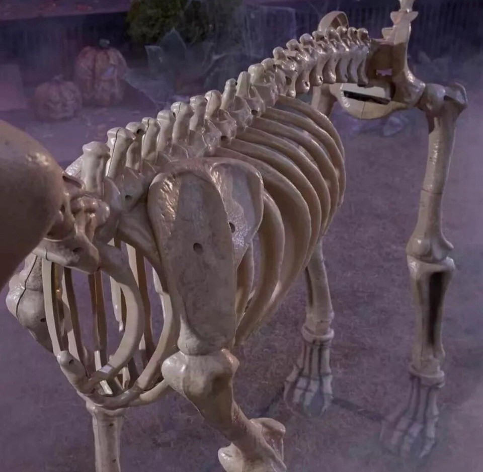 7 FOOT Skeleton Dog Skelly's Home Accent Halloween 2024 GREAT DEAL 2/04 ...