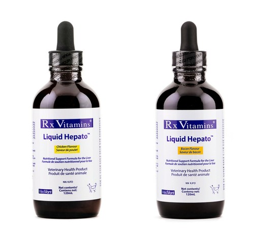 Rx Vitamins for Pets Liquid Hepato for Pets 120mL - EXP: 03/2025 | eBay