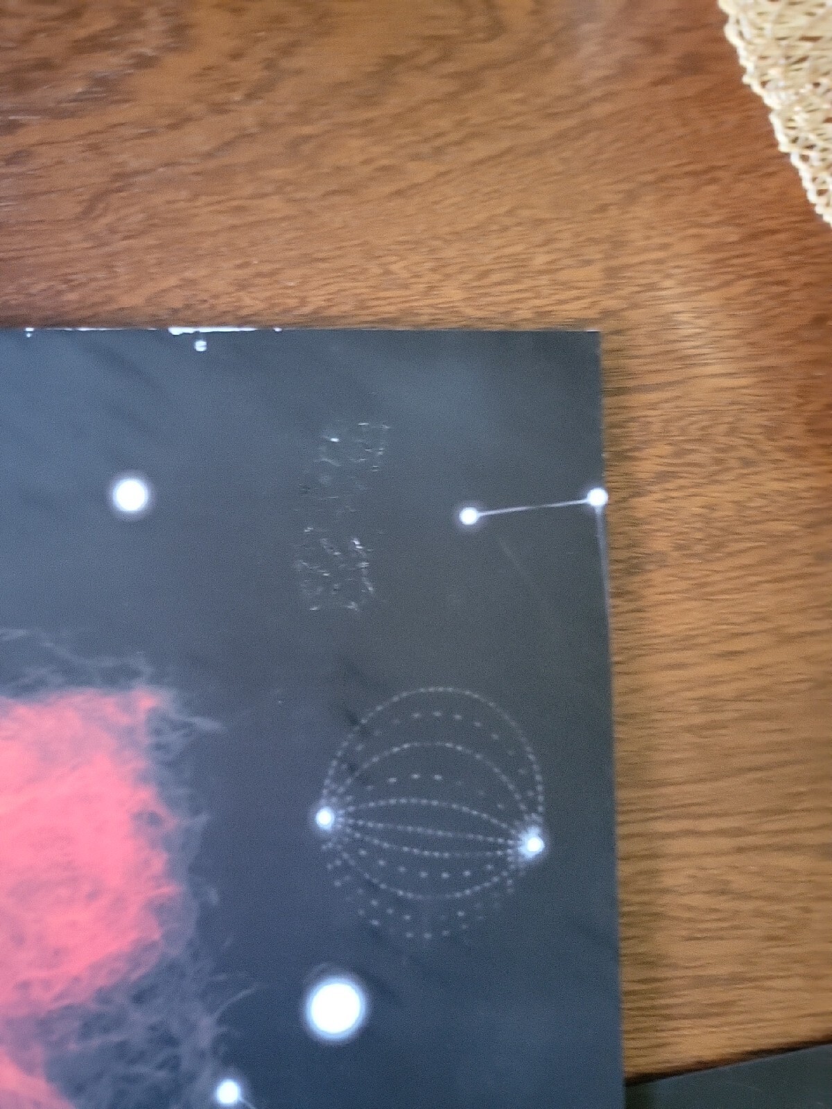 Bjork Rare Light Box Poster | eBay