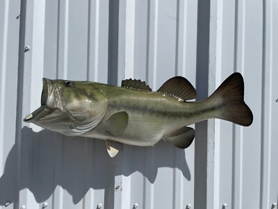 25" Largemouth Bass Left Two Sided Fish Mount Replica - Quick ...