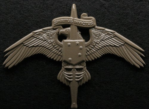 MARSOC US Marine Corps Forces Special Operations Command Badge PIN ...