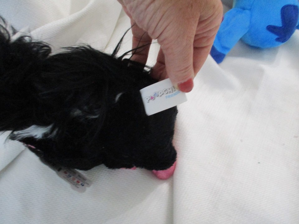 Poopchis Friends Plush Stuffed Animal Toy 6" stinker skunk | eBay