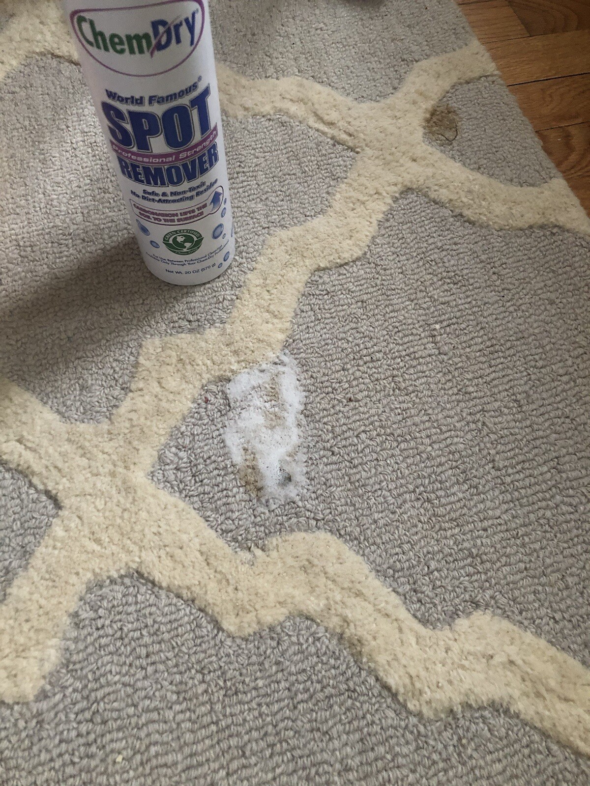 3-Cans Chem-Dry Professional Strength Spot Remover free shipping | eBay