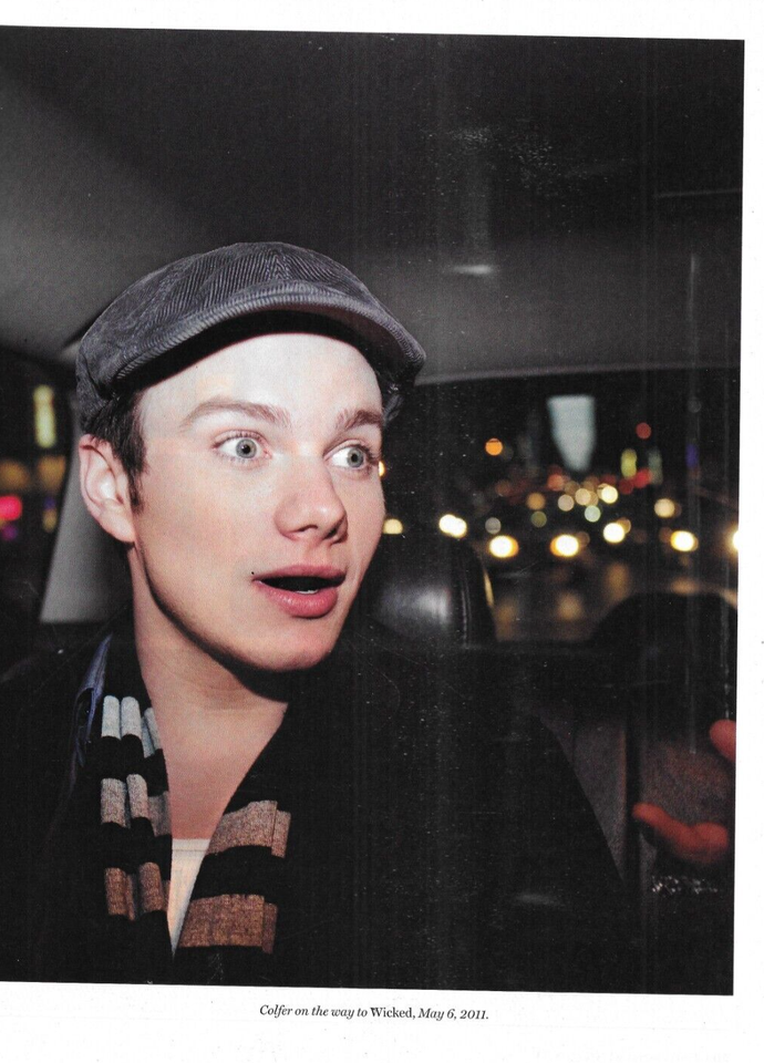 New York Magazine Amy Poehler TV Roseanne Barr Chris Colfer Louis C.K ...