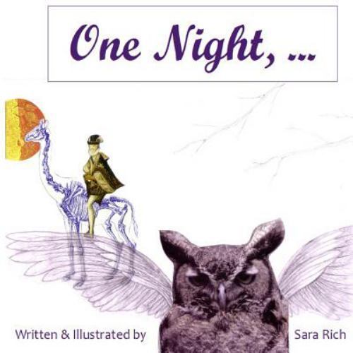 One Night by Sara Rich (2014, Trade Paperback) for sale online | eBay