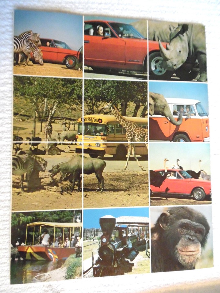 Vintage LION COUNTRY SAFARI Postcard Booklets POSTCARDS Souvenir ...