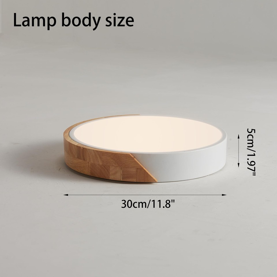 LED Ceiling Lights, 12 Inch Modern Flush Mount Lighting Fixture,Round ...